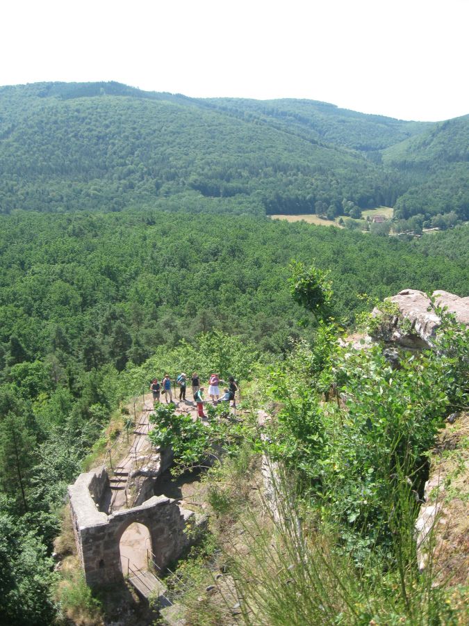 Wanderung mit Übernachtung / Biosphärenreservat Elsass - Natur und Freizeit