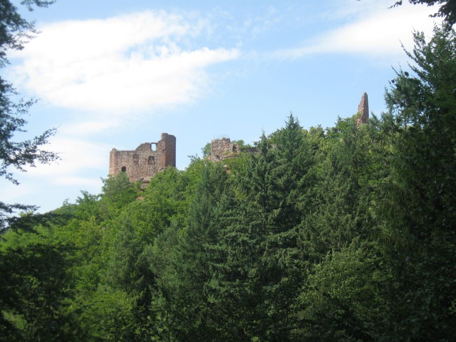 Wanderung mit Übernachtung / Biosphärenreservat Elsass - Natur und Freizeit